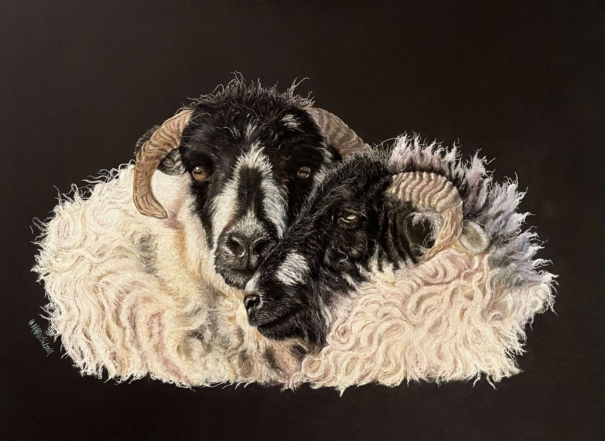 Two Ewes – Animal Artworkx